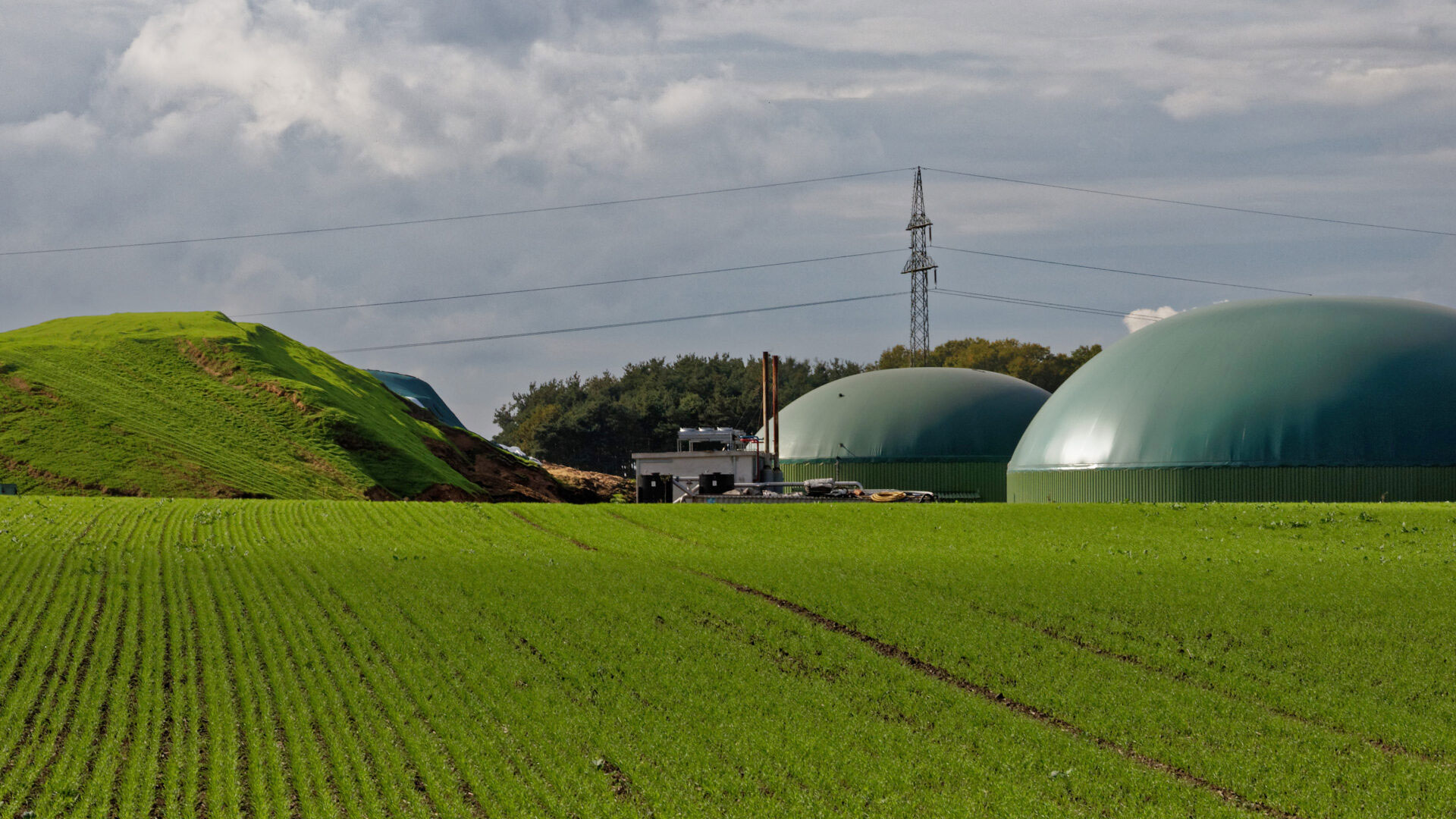 Services | AD Energy